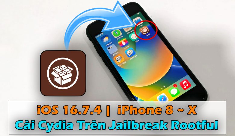 Home Page [tinesports.com]